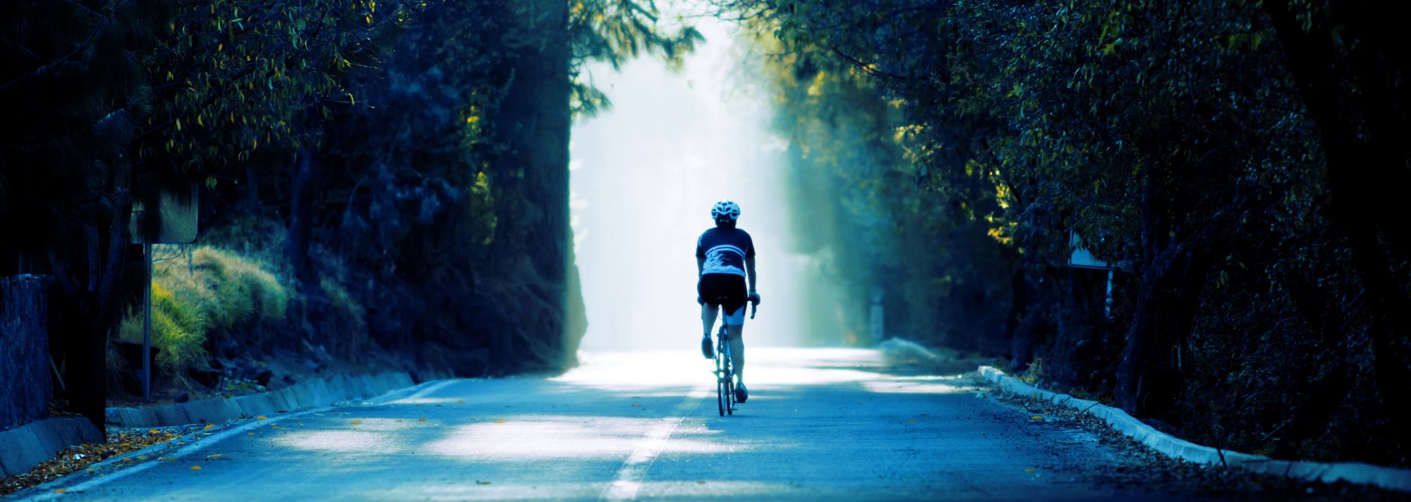 Over mij | Fred Meijer